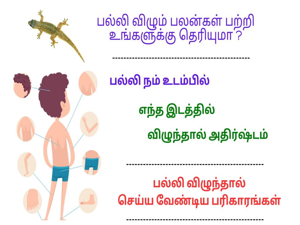 பல்லி விழும் பலன்கள் பற்றி உங்களுக்கு தெரியுமா? | Palli Vilum Palan in ...