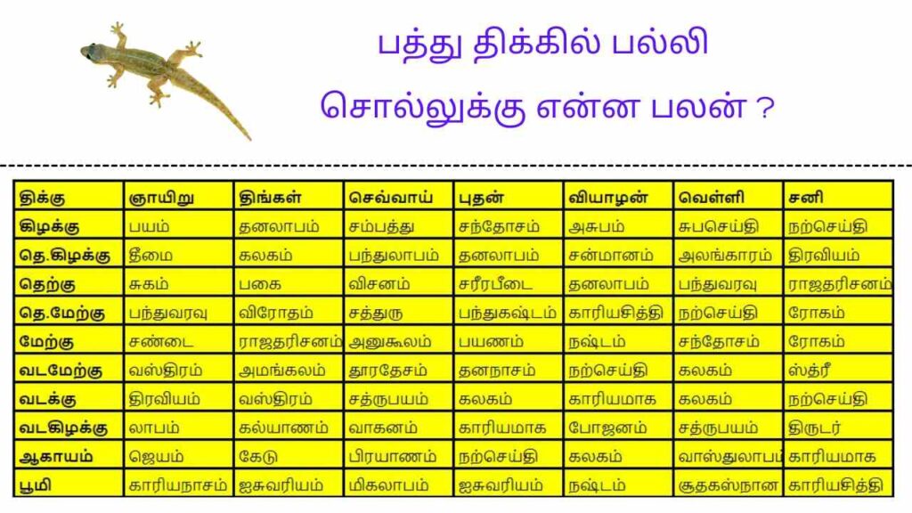 பல்லி விழும் பலன்கள் பற்றி உங்களுக்கு தெரியுமா? | Palli Vilum Palan in ...
